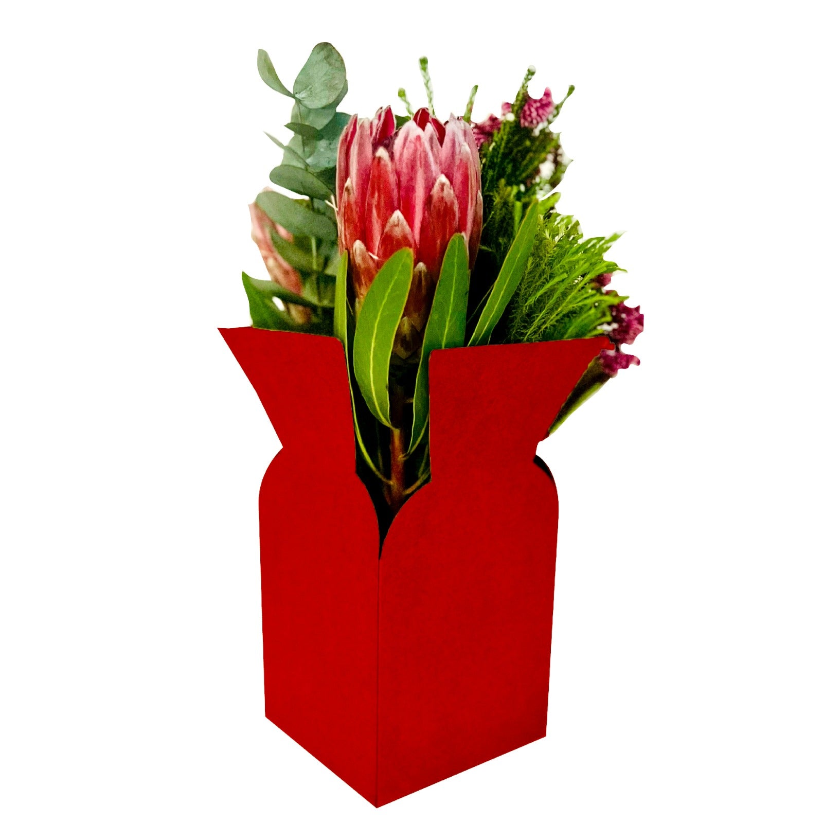 Red Print Posy Flower Box 1 (Pack of 20) – Eco Plant Pack